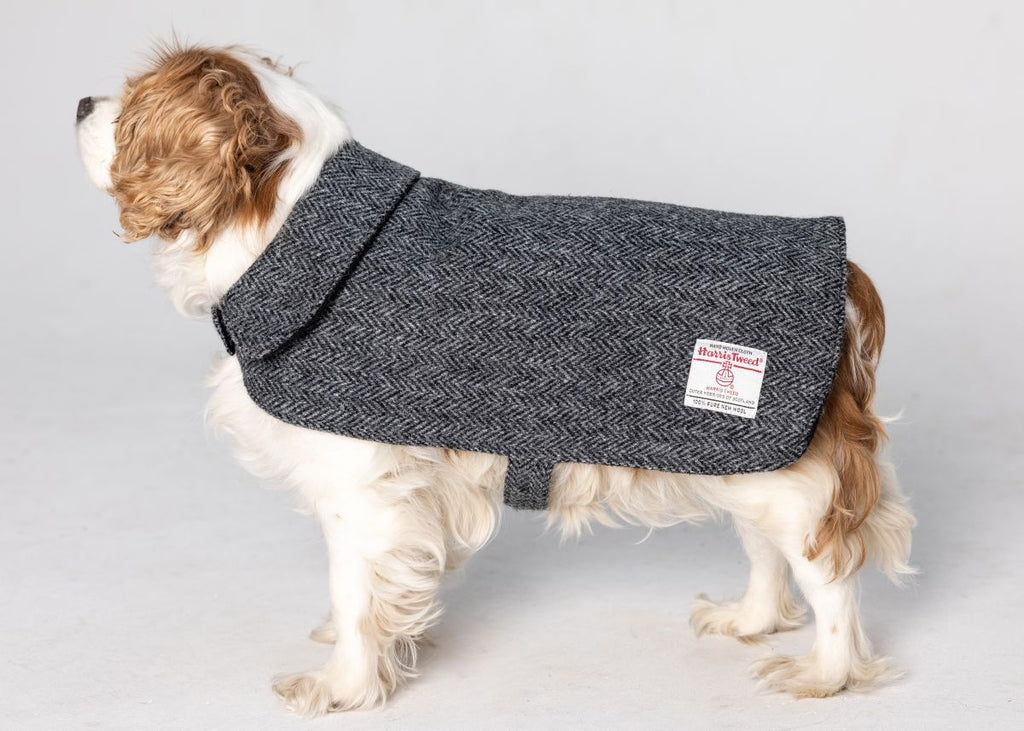 Traditional Scottish Harris Tweed Coat For Dogs | Scotland Kilt Co